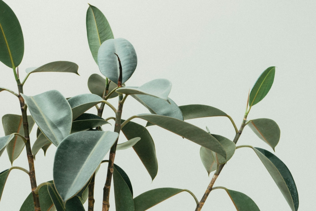 scott-webb-oRWRlTgBrPo-unsplash - Huntington Beach Christian Counseling